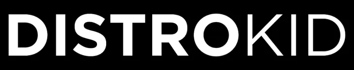 Distrokid (Avis) : Est-ce que Ca vaut Vraiment le Coup